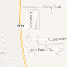 Blue Parrot RV Resort - Lady Lake, Florida - RV LIFE Campground Reviews